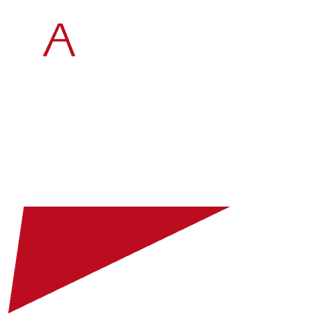 Arrows | F1 Team | Team History & Info | F1 History